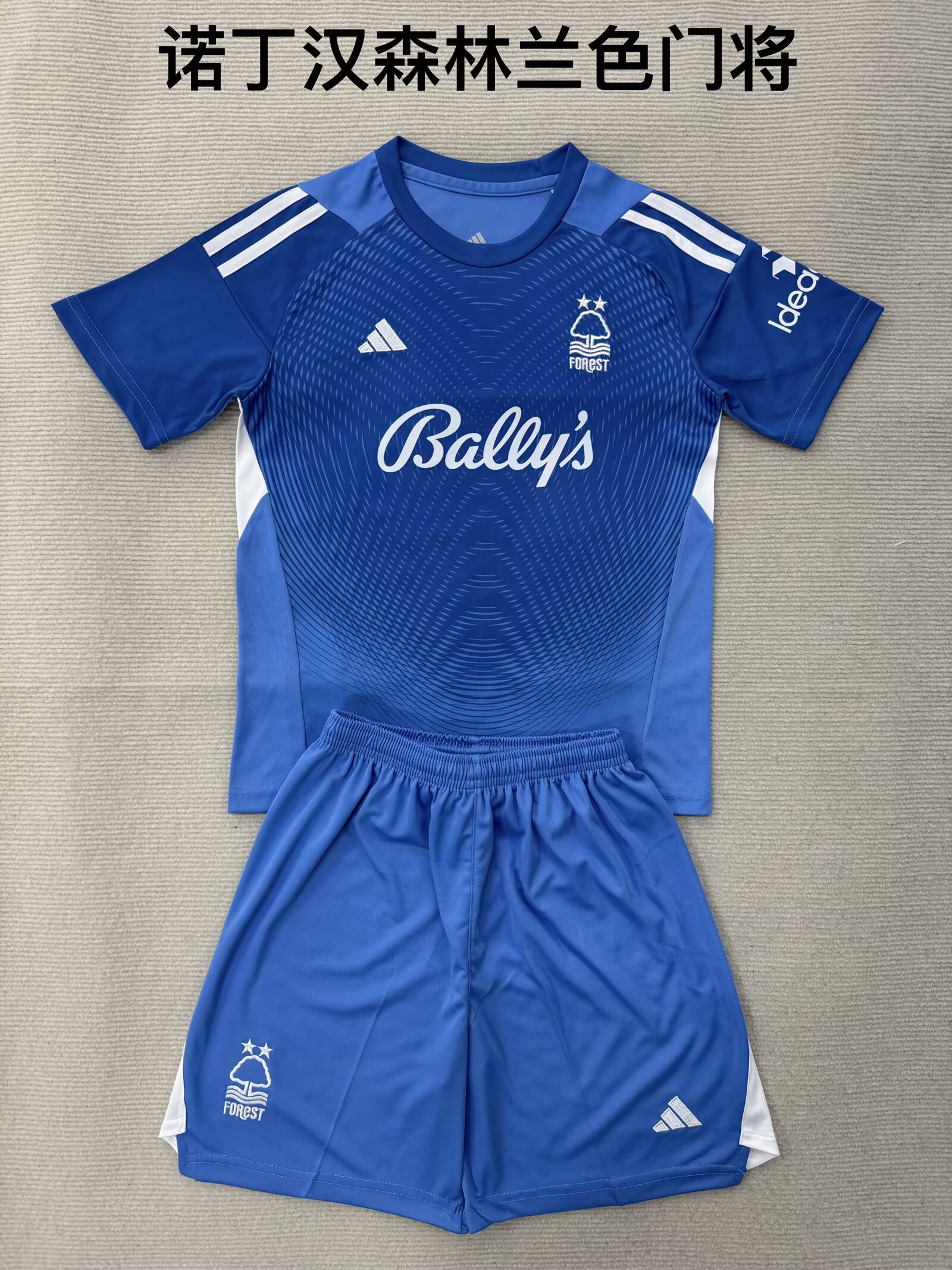 Kids 2025/26 Nottingham Forest Goalkeeper Blue Kids/Youth Soccer ...